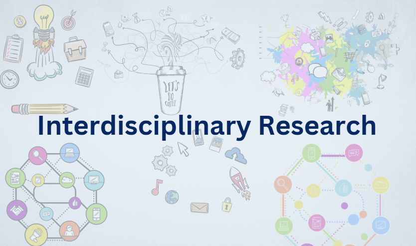 Interdisciplinary Research | Definition & Process